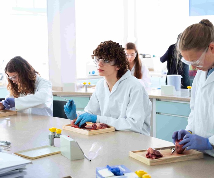 Pathways to Medical School - Latest News - David Game College ...